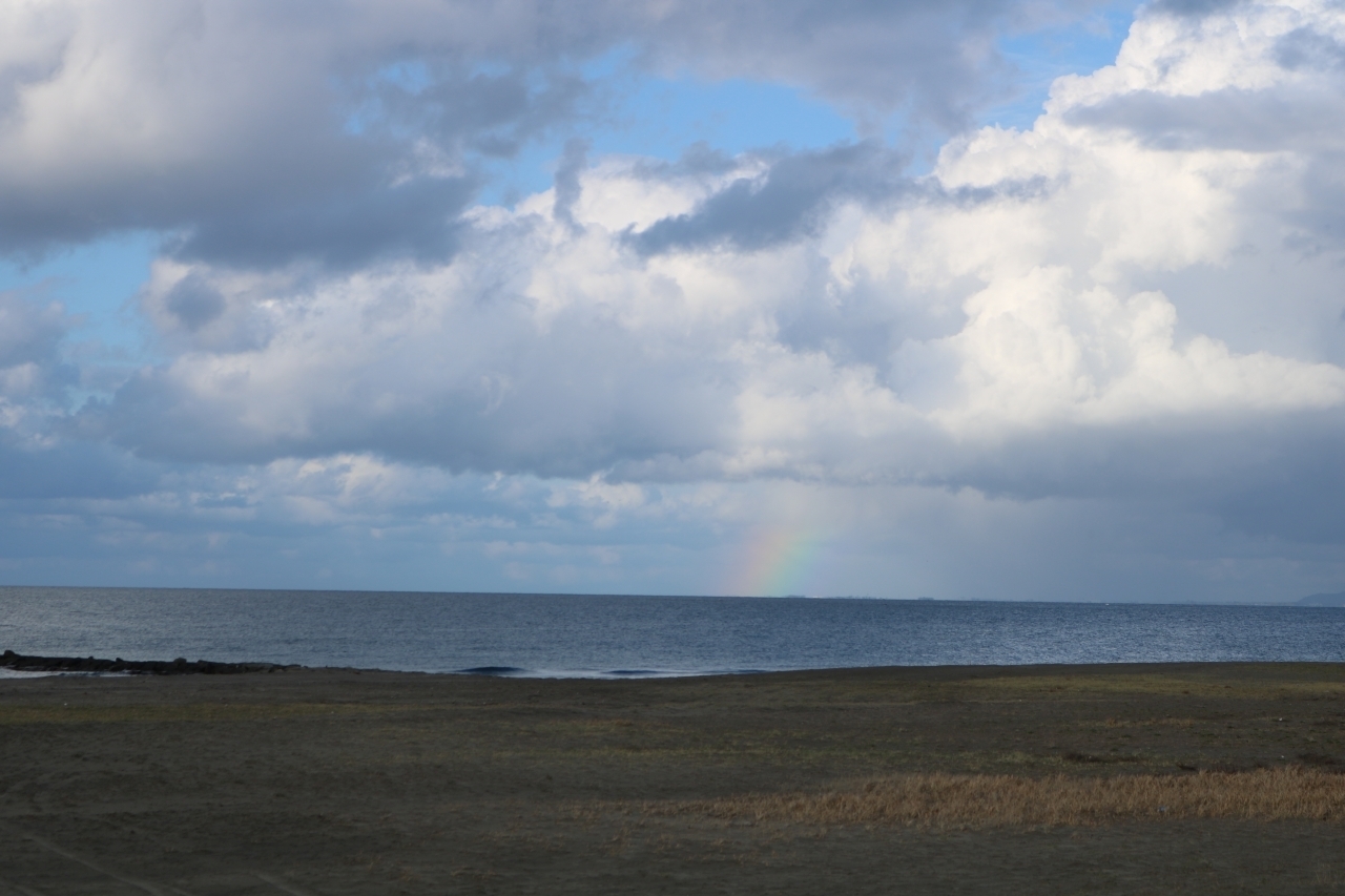 七色: Cactus Coffee